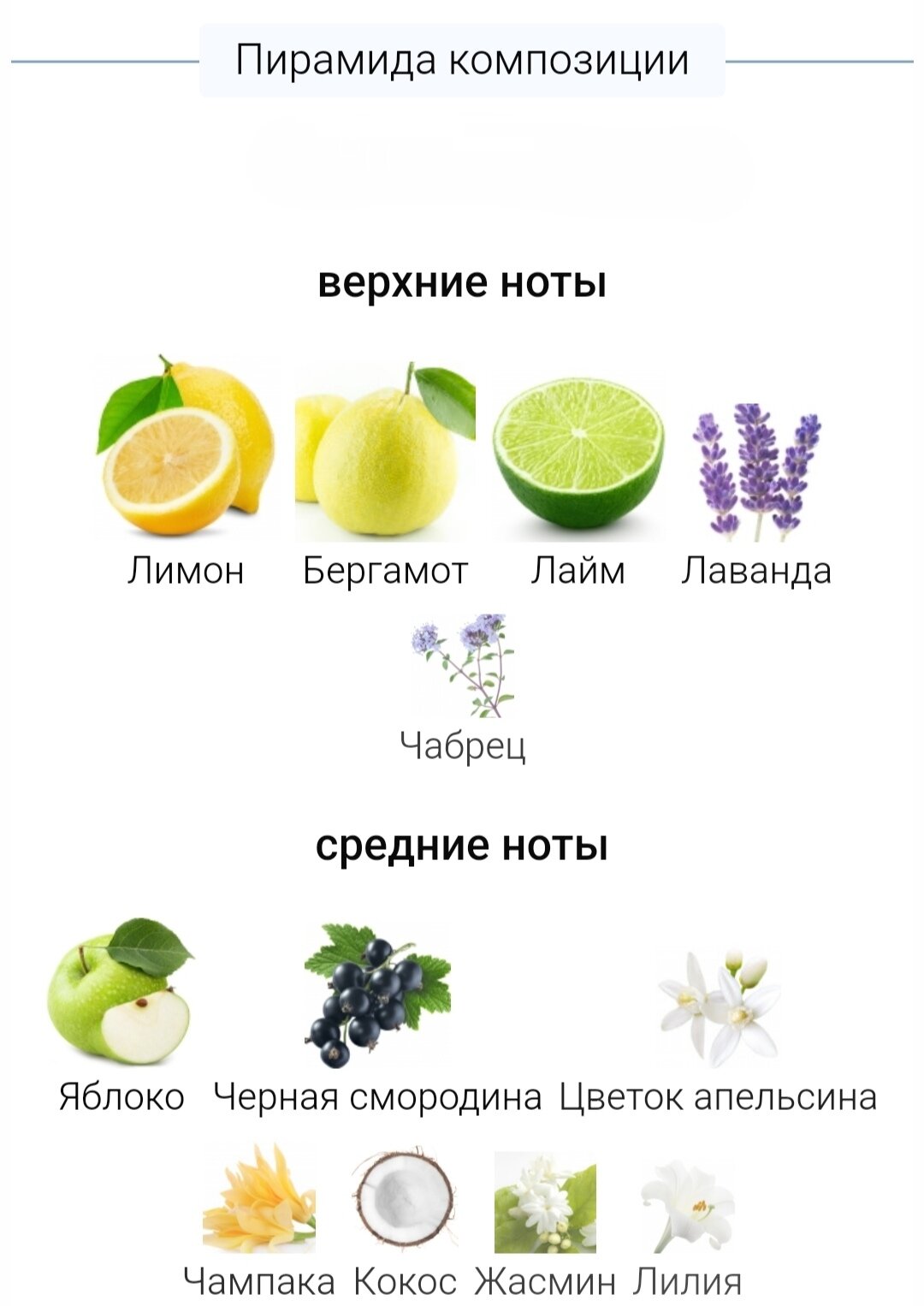 Духи ручной работы по мотивам 'Oligarch', для мужчин Lu Parfume — фото 1