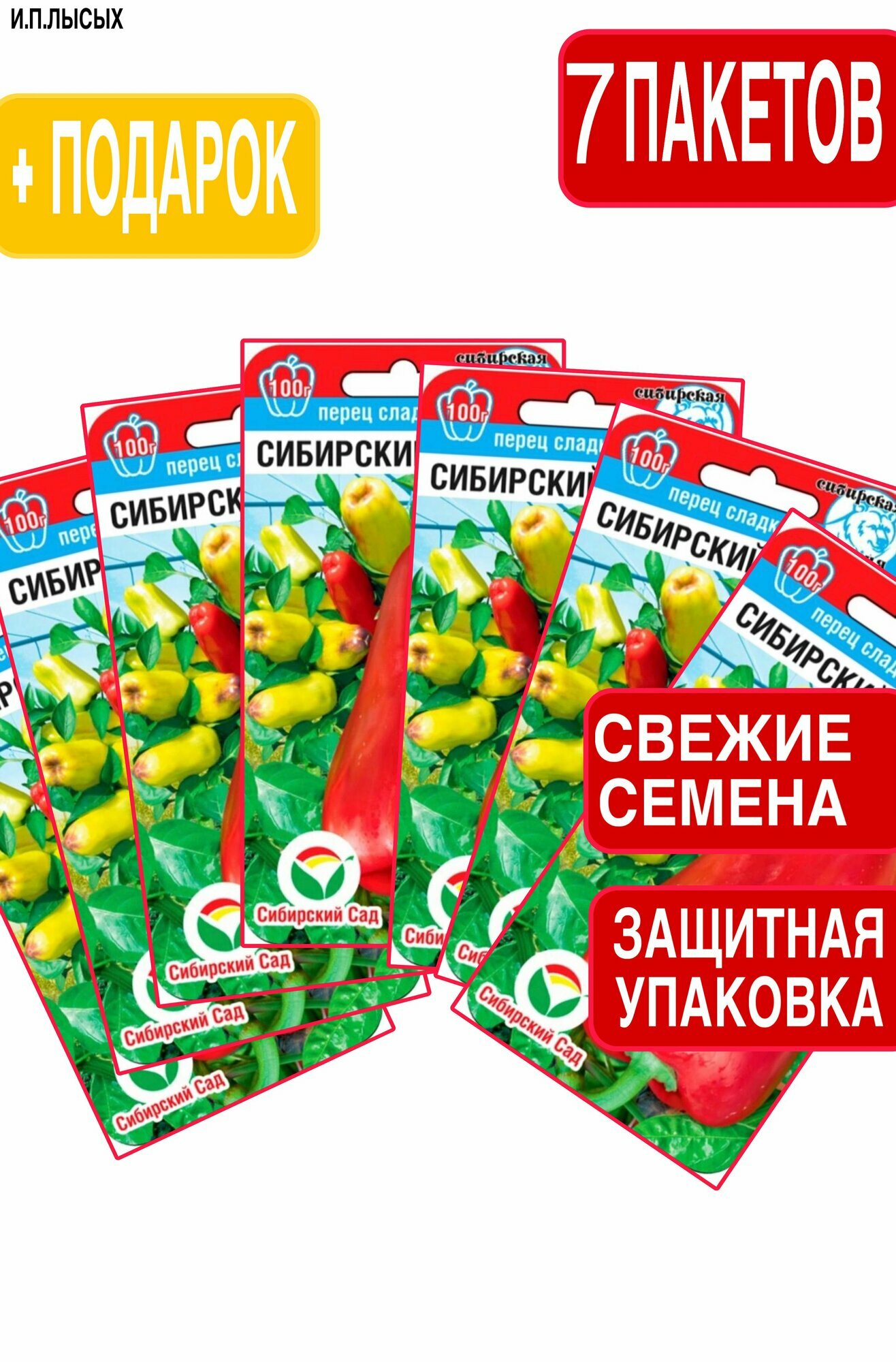 Семена Перец "Сибирский салют"