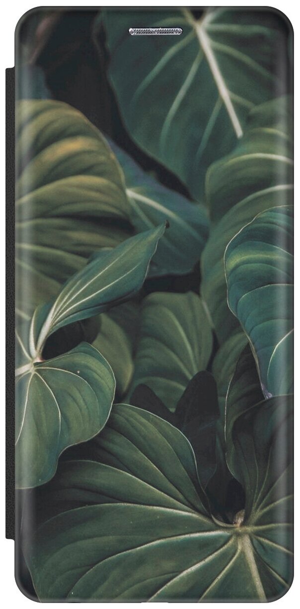 Чехол-книжка Листья филодендрона на Samsung Galaxy J6+ (2018) / Самсунг Джей 6 плюс черный