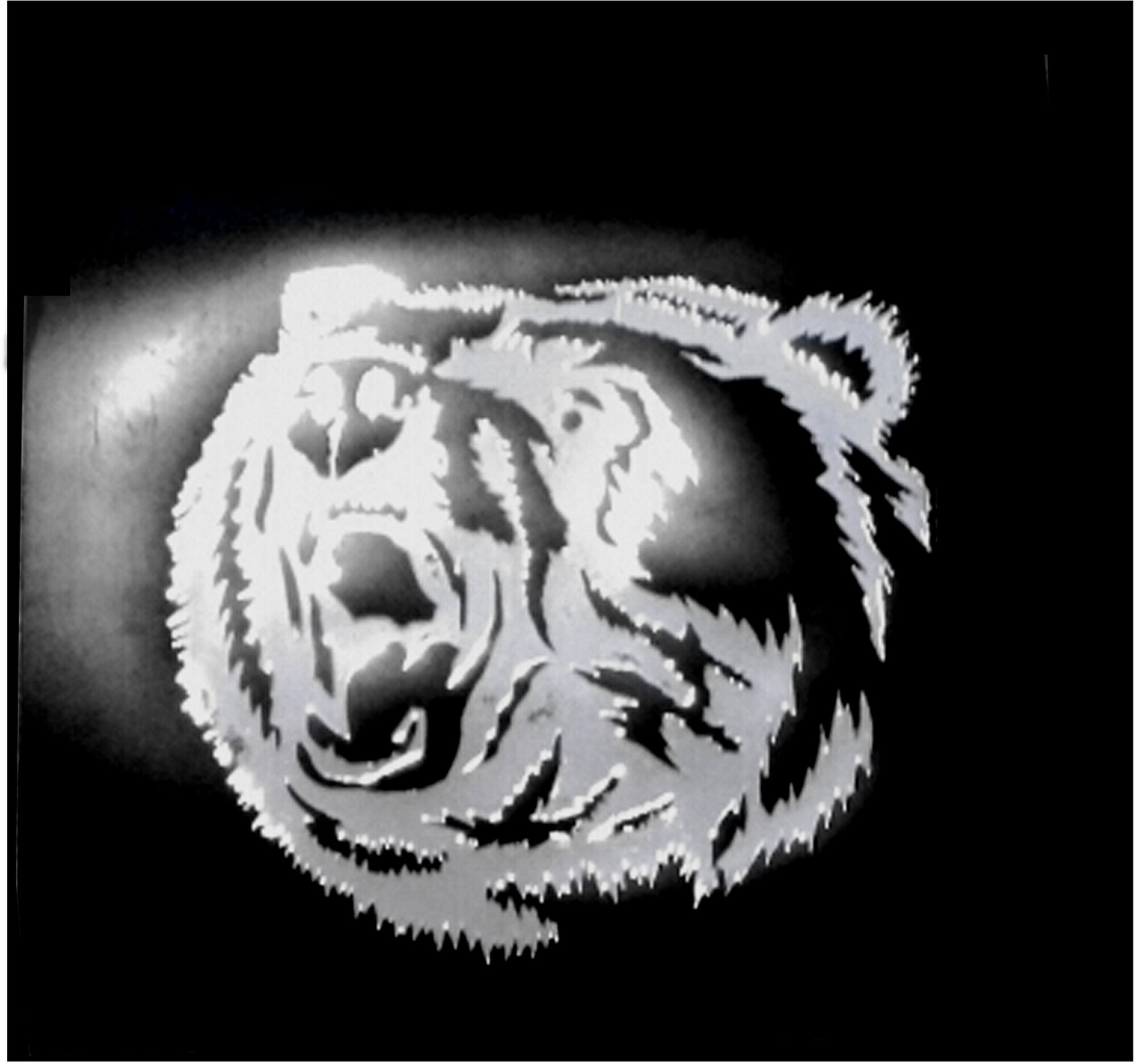 Брызговики 40*60, медведь