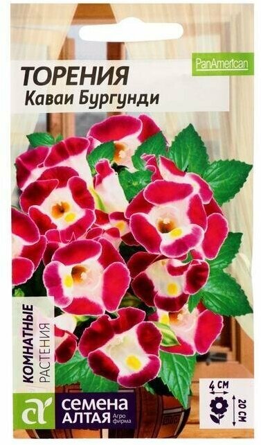 Семена цветов Торения 'Каваи Бургунди', 5 шт
