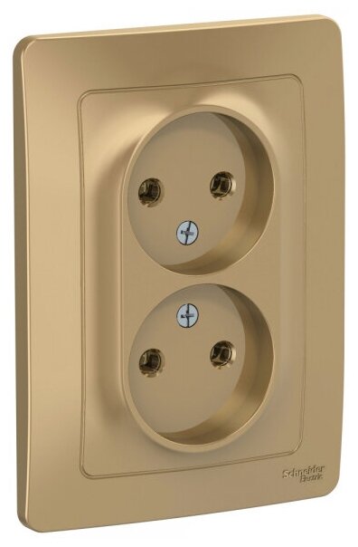 SE Blanca внутр Титан Розетка 2-ая б/з без шторок, 16А, 250В