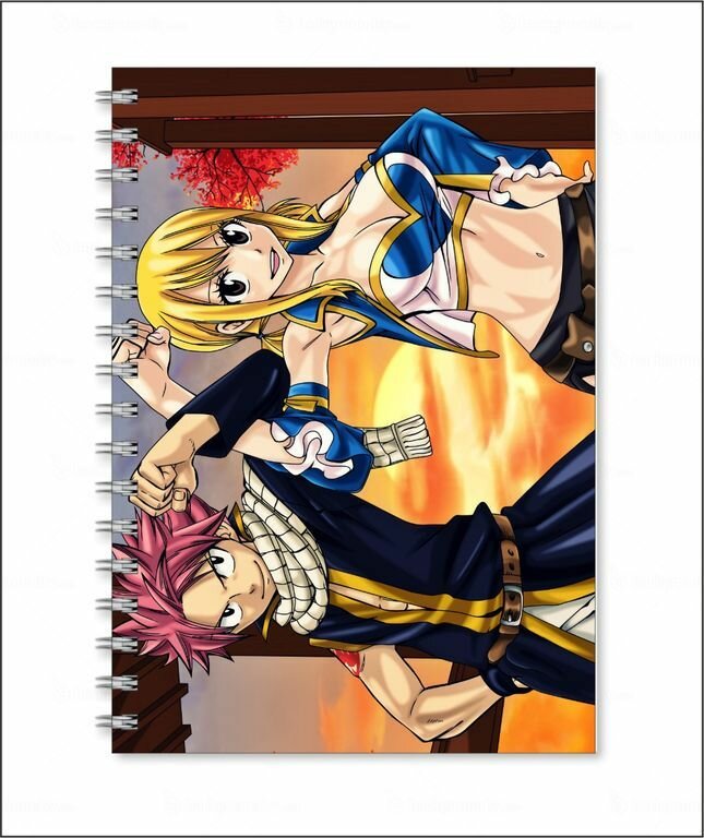 Тетрадь Хвост Феи, Fairy Tail №7