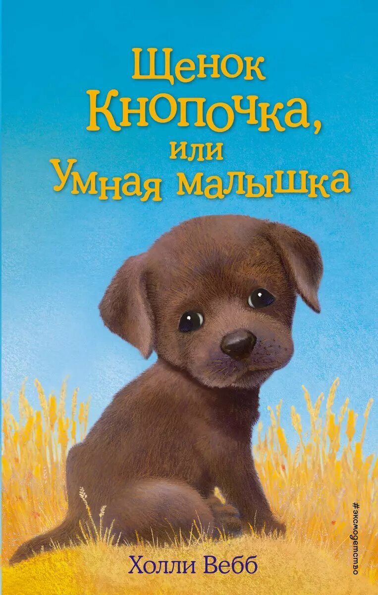 Щенок Кнопочка или Умная малышка Книга Вебб Холли 6+