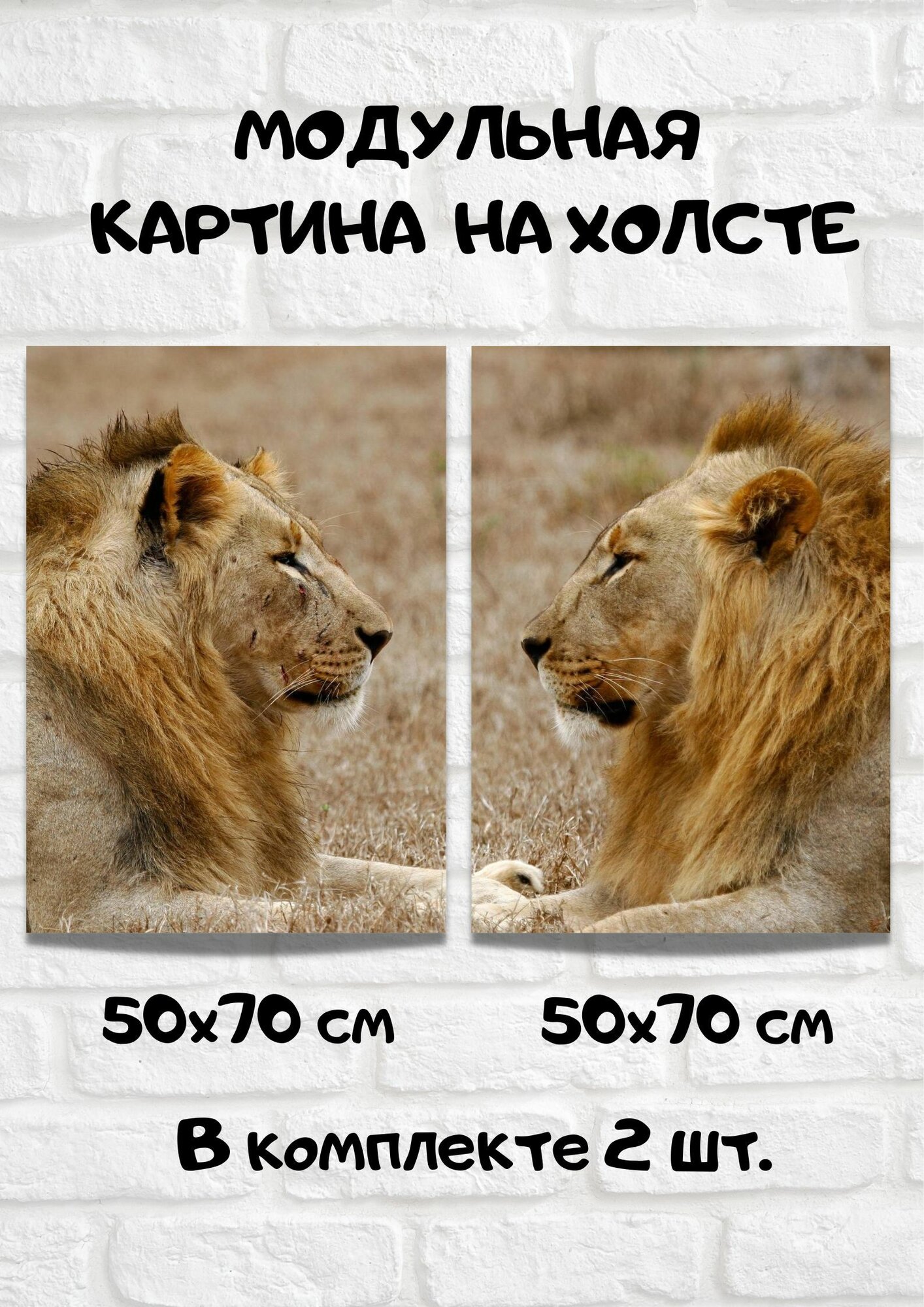 Модульная картина с животными в арт стиле "Два льва смотрят друг на друга"