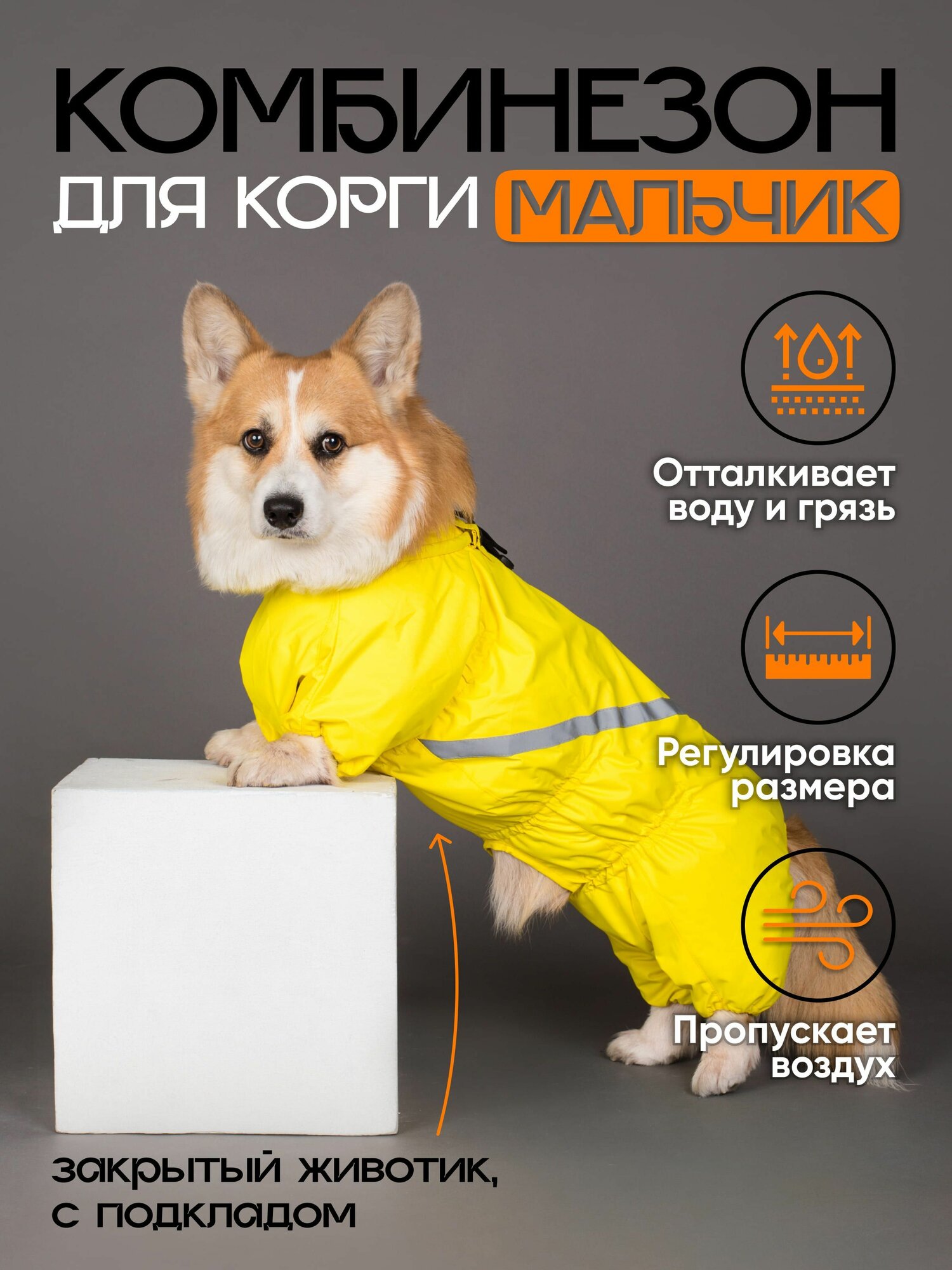 Водоотталкивающий комбинезон DiploDog для Корги (Пол: мальчик), Одежда для Корги (Пол: мальчик)