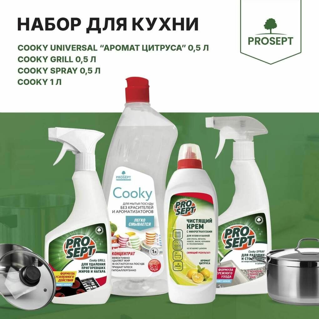 Набор бытовой химии Prosept №7 для кухни (4шт)