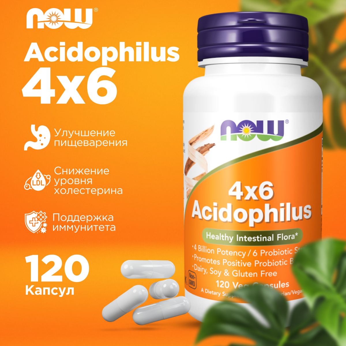 Витамины для пищеварения, пробиотик Ацидофилус, NOW 4x6 Acidophilus 120 вегетарианских капсул