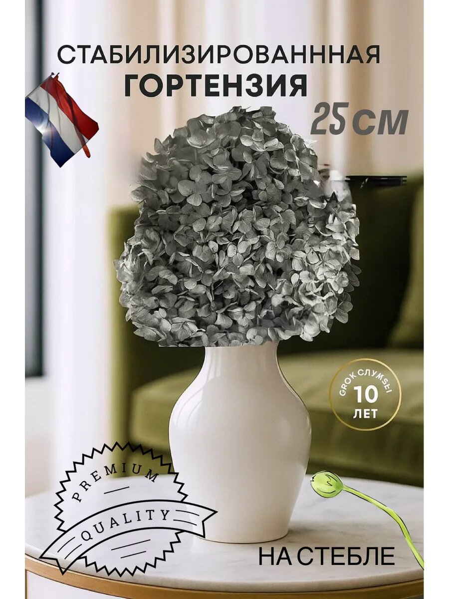 Гортензия стабилизированная сухоцветы для декора растения на стебле