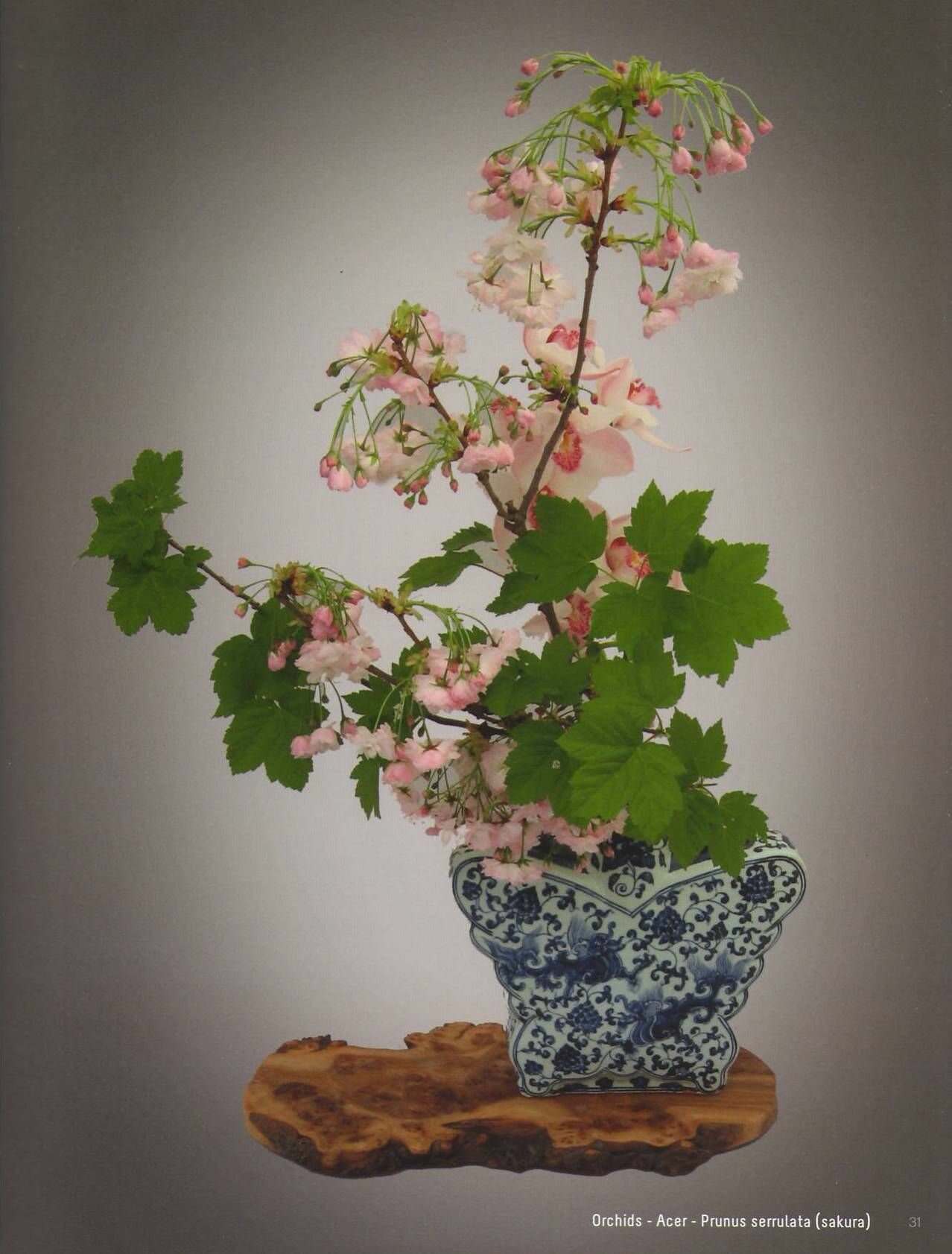 My Ikebana — фото 1