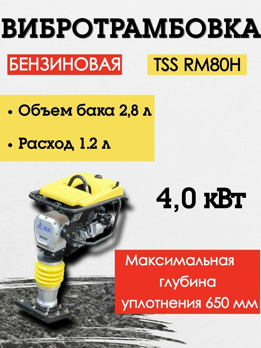 Вибротрамбовка бензиновая TSS RM80H