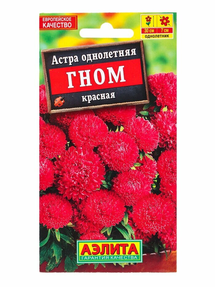 Семена цветов Астра «Гном» красная, 0.2 г