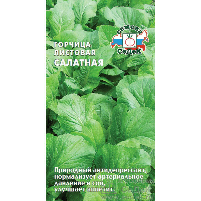 Семена Горчицы Салатной СеДеК, однолетние, скороспелые, урожайность 1,6-2,1кг/м²
