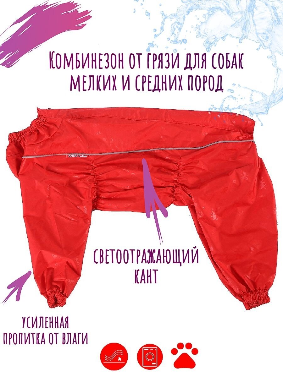 Дождевик для собак мелких пород. Девочка. (35-2 девочка)