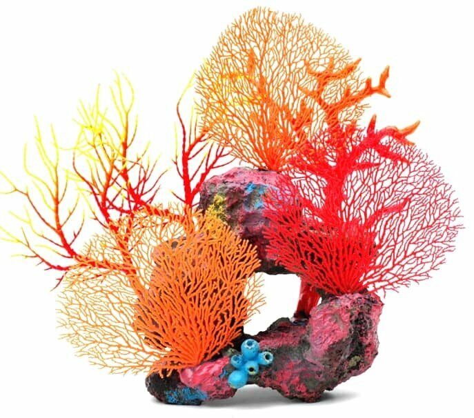 Искусственная композиция Vitality из кораллов (SH9536R)