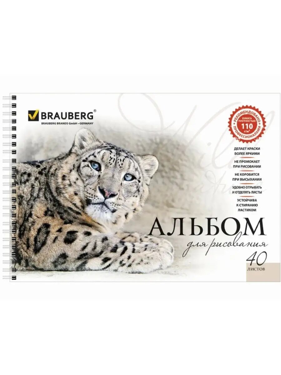 Альбом для рисования Brauberg "Благородные кошки", А4, 40 листов, гребень, обложка картон, 2 вида