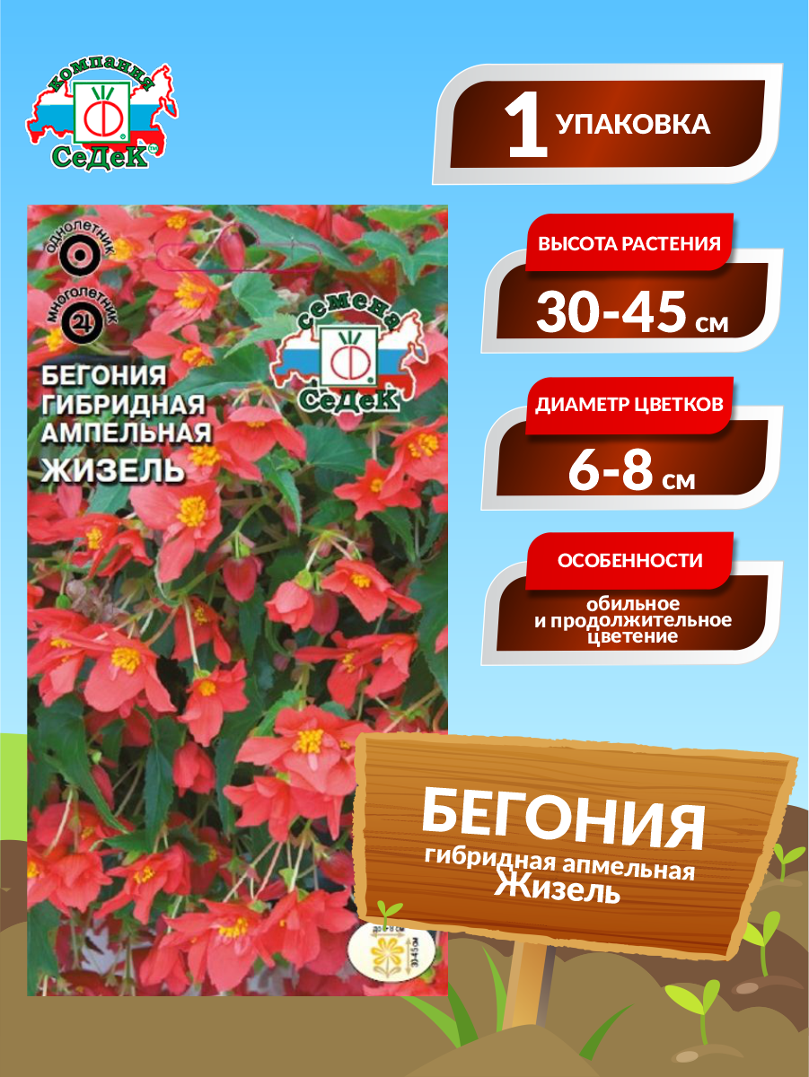 Семена Бегония Жизель F1 10 шт./упак.