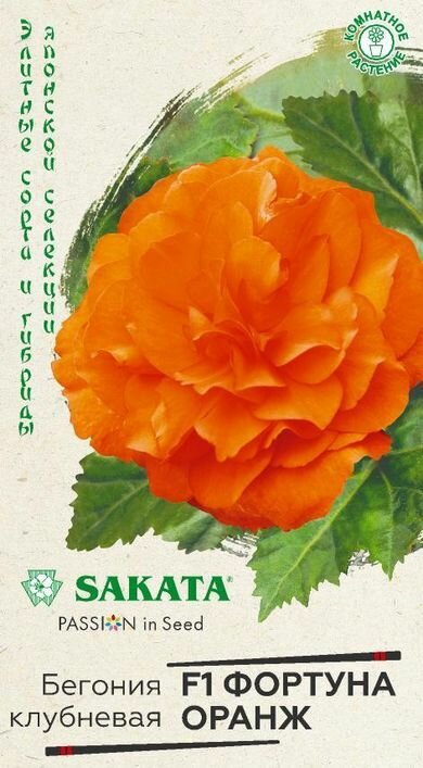 Семена растения Бегония Фортуна Оранж F1