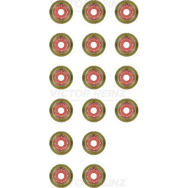 REINZ 12-36587-01 (095651 / 09565116X / 11347805970) комплект маслосъемных колпачков комплект 16шт Citroen (Ситроен)