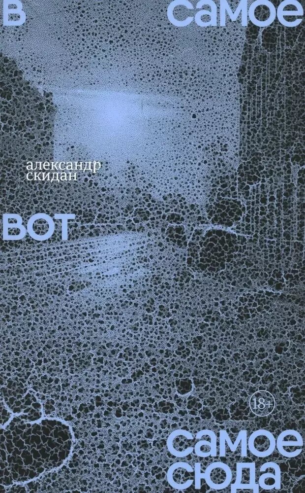 Книга Издательство Ивана Лимбаха В самое вот самое сюда: 2020–2023. Скидан А, 2024 г