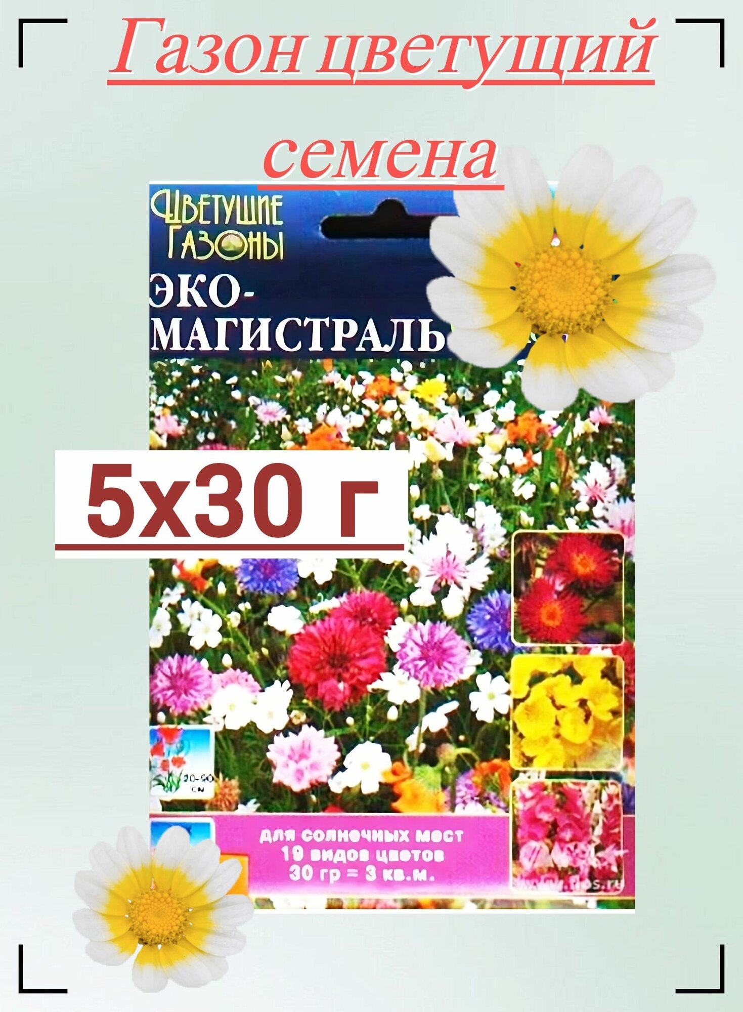 Газон цветущий "Эко-магистраль" 5x30 г, семена. Светолюбивая травяная смесь с ароматными бутонами подойдет для украшения бордюров и обочин, переносит жару и плохую экологию