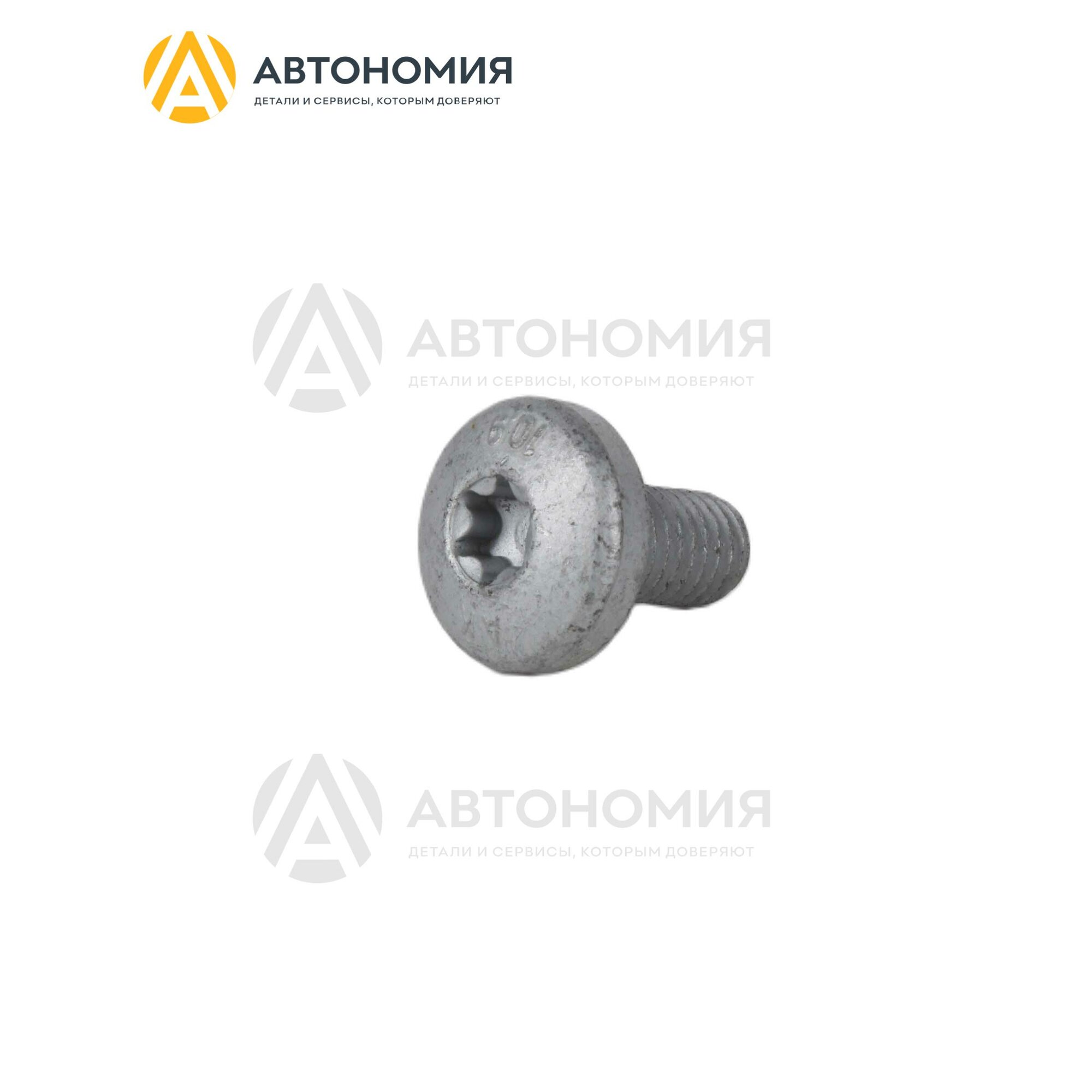 Болт с внутренним Torx BMW 11 51 7 559 979