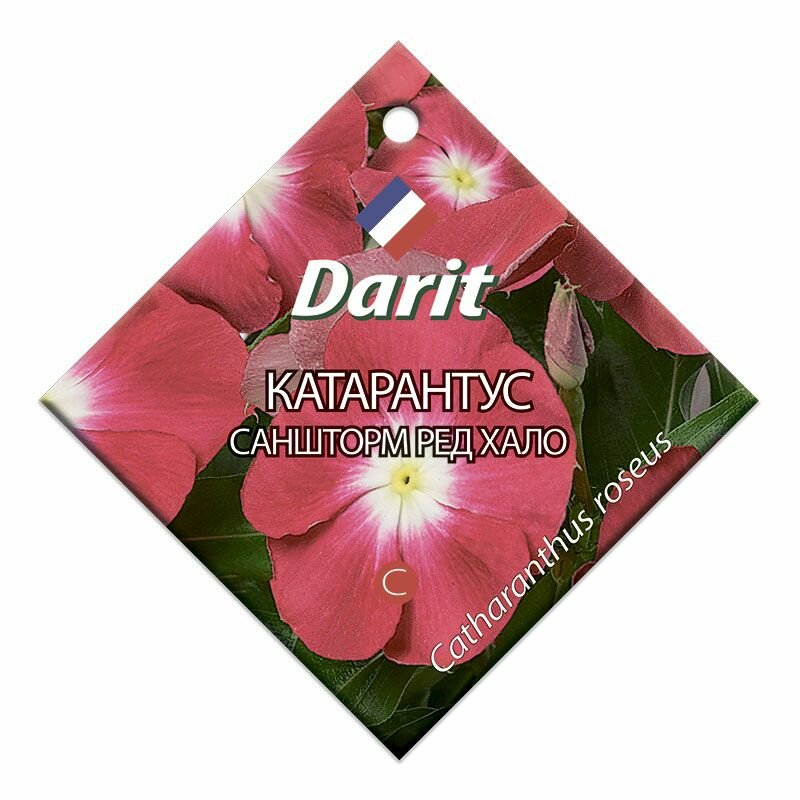 Семена цветов Дарит "Саншторм Ред Хало ", однолетние, красный, 10 шт