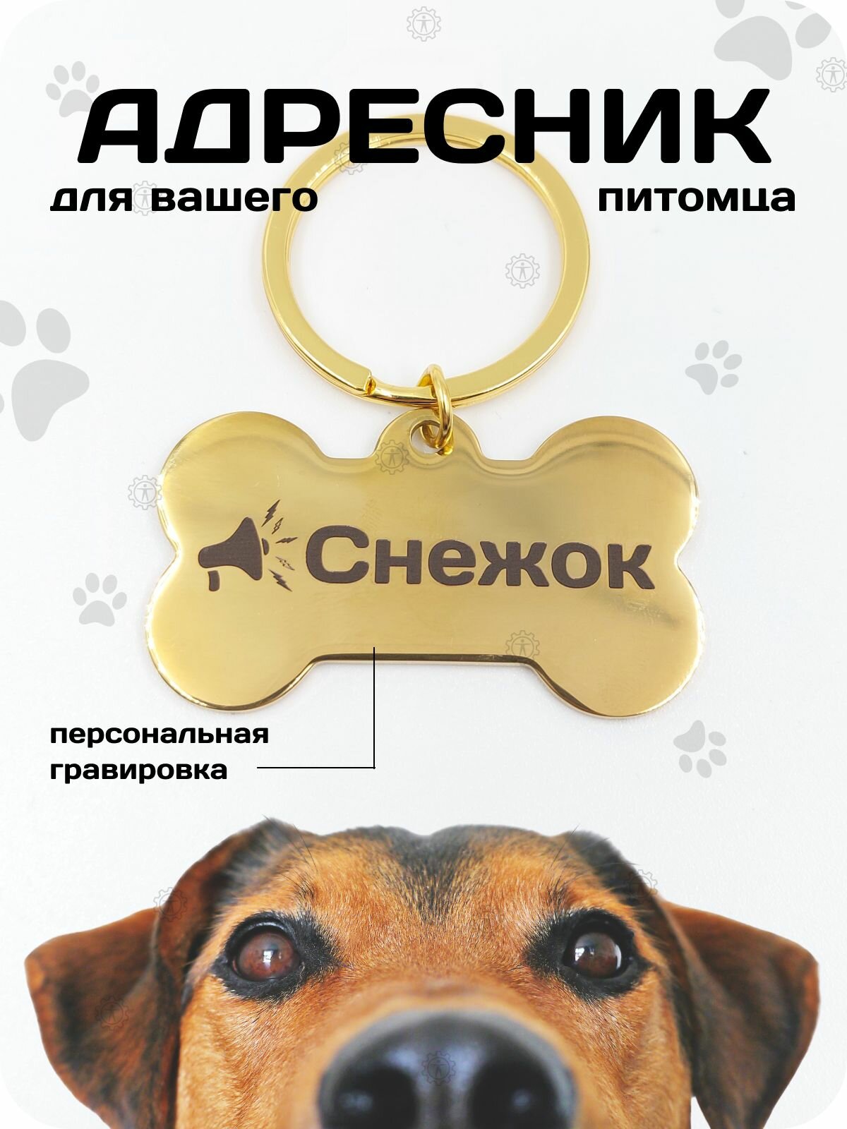 Адресник с гравировкой для собак "Косточка", на ошейник, золотой, 50 мм x 30 мм