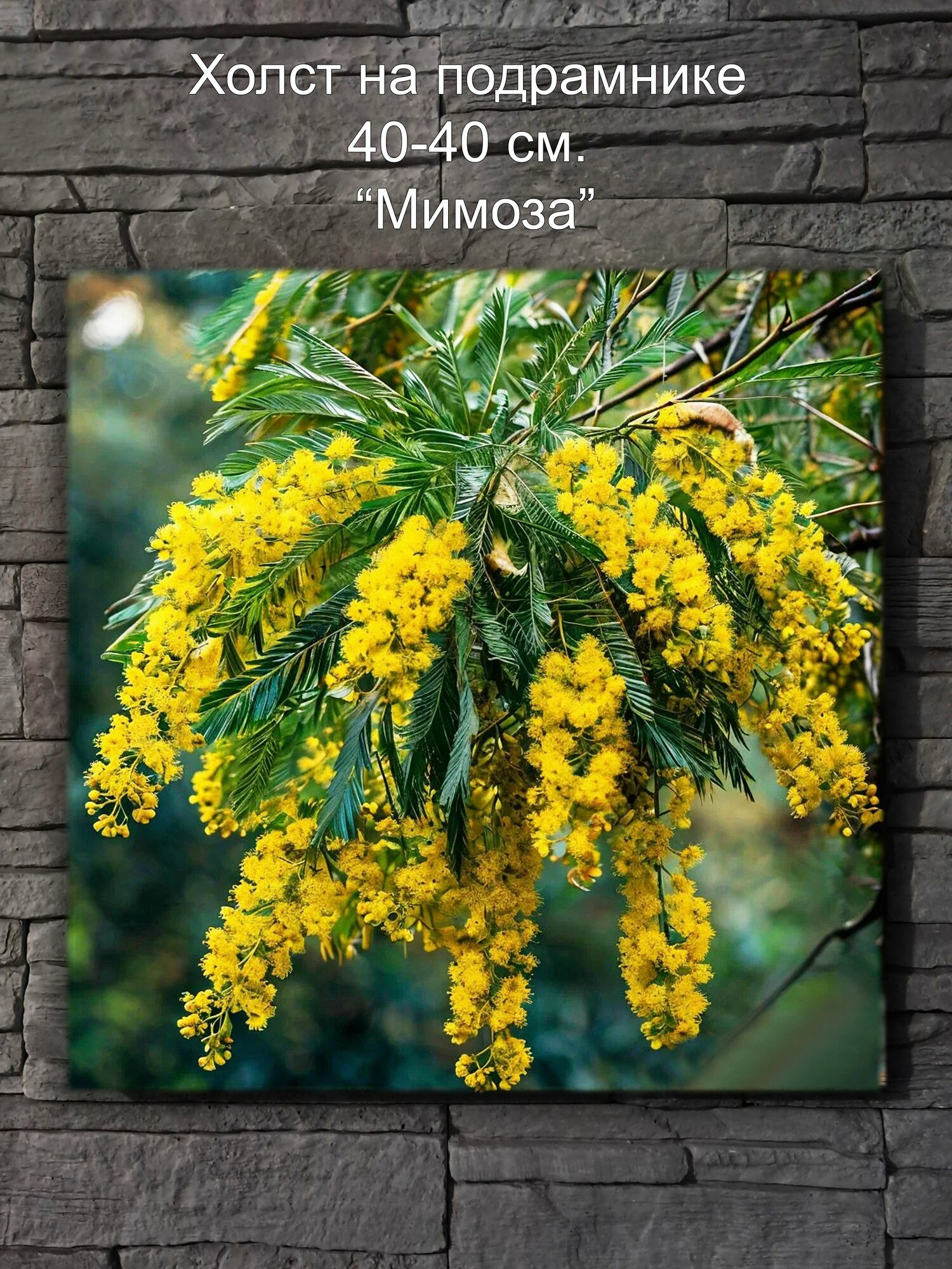 Картина на холсте "Мимоза"