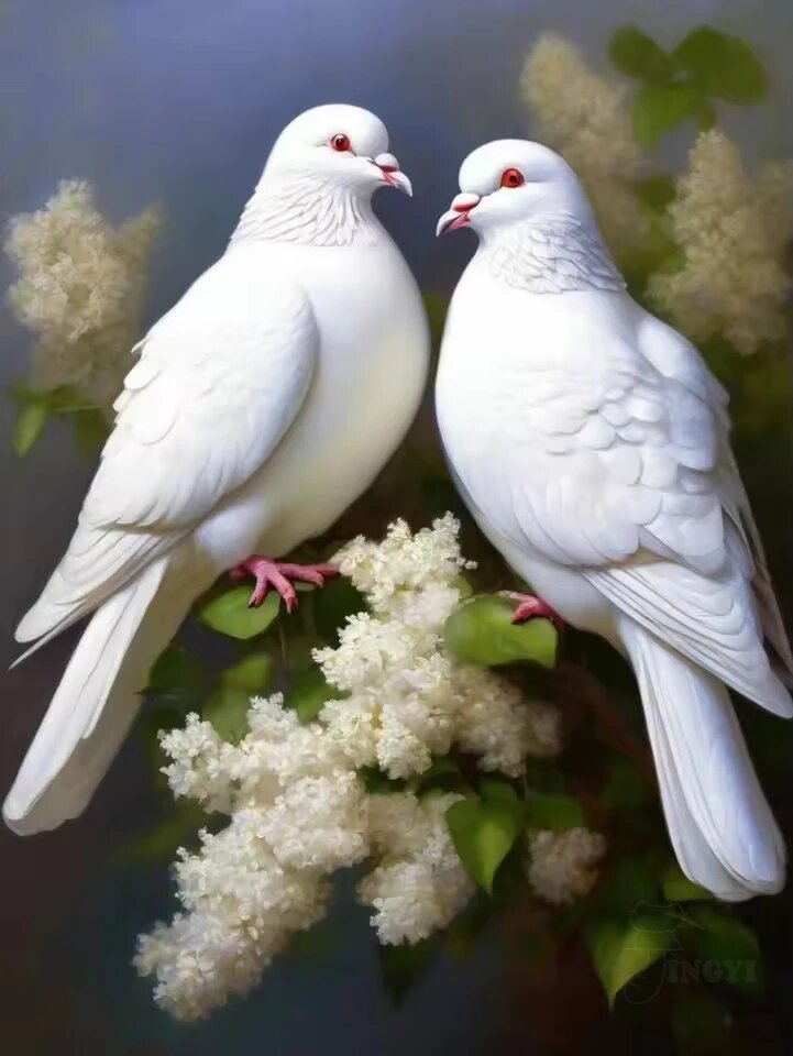 Алмазная мозаика на подрамнике "Голубь мира" круглые бриллианты 40х50см