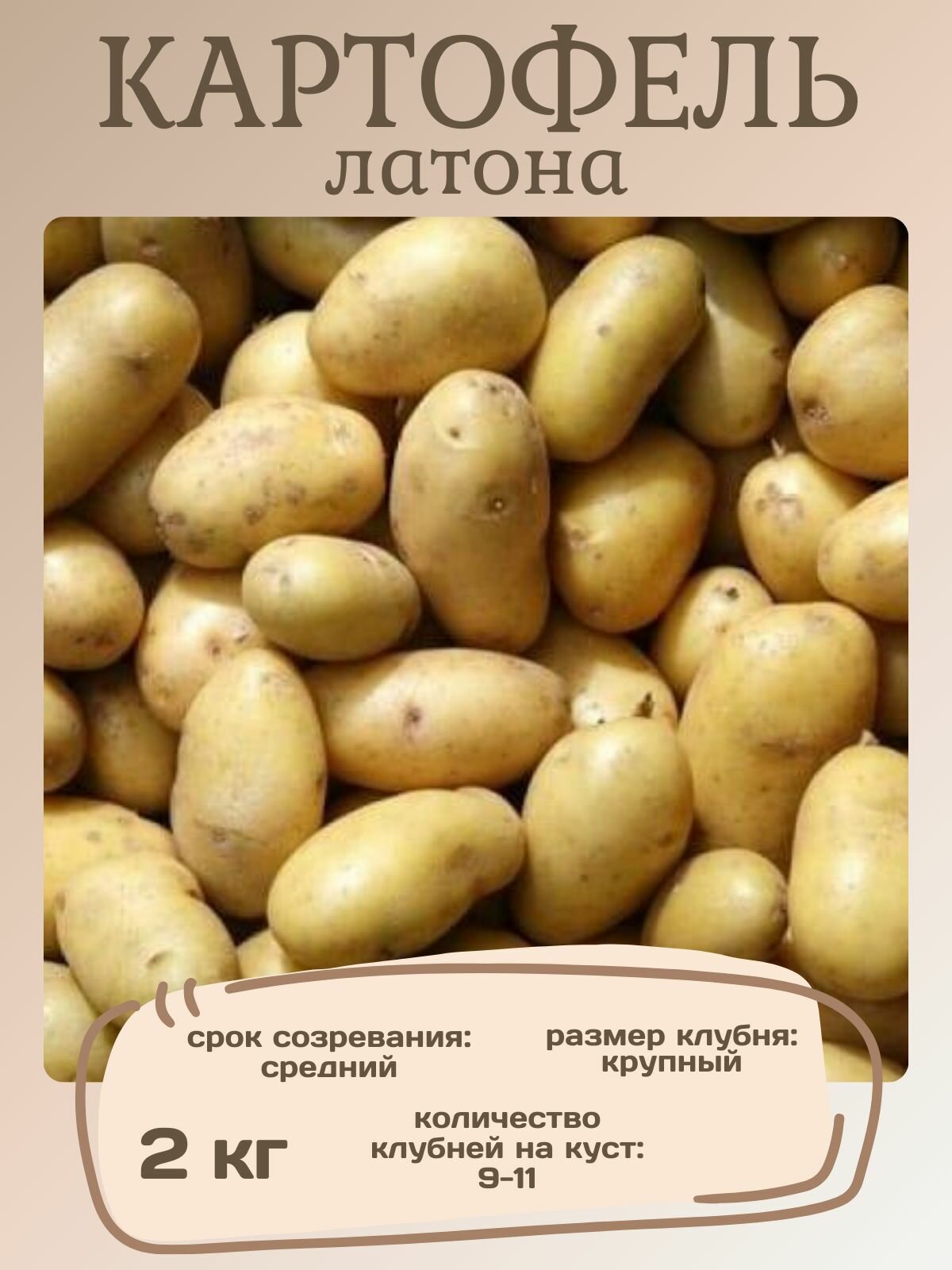 Картофель семенной 2 кг, на посадку