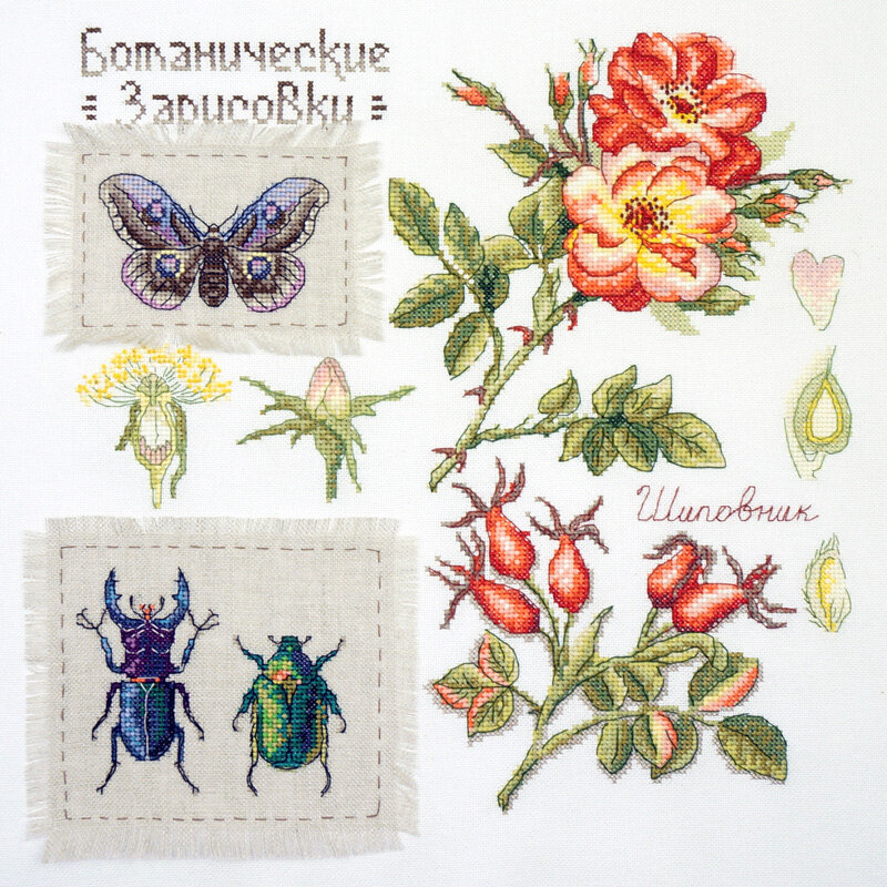 Набор для вышивания "Ботаника: Шиповник" 30х30см, 03.015.12
