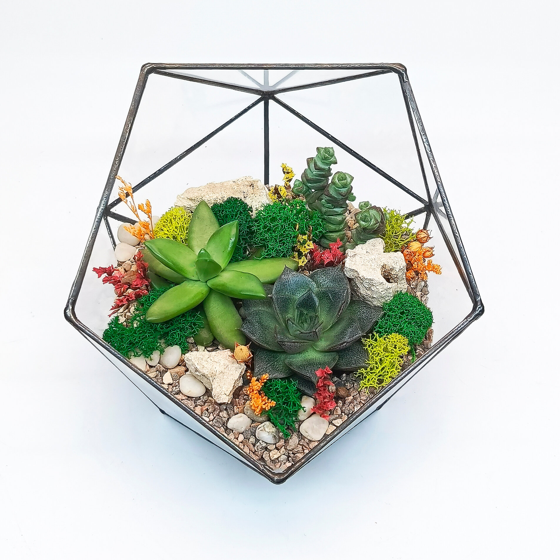 Флорариум с суккулентами "Яркий" Икосаэдр 16см