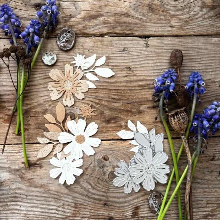 Набор ножей для вырубки Космеи скромные цветы