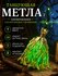 Метла ведьмы