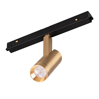 040888 Светильник MAG-ORIENT-SPOT-R35-6W Warm3000 (GD, 24 deg, 48V, DALI) (Arlight, IP20 Металл)