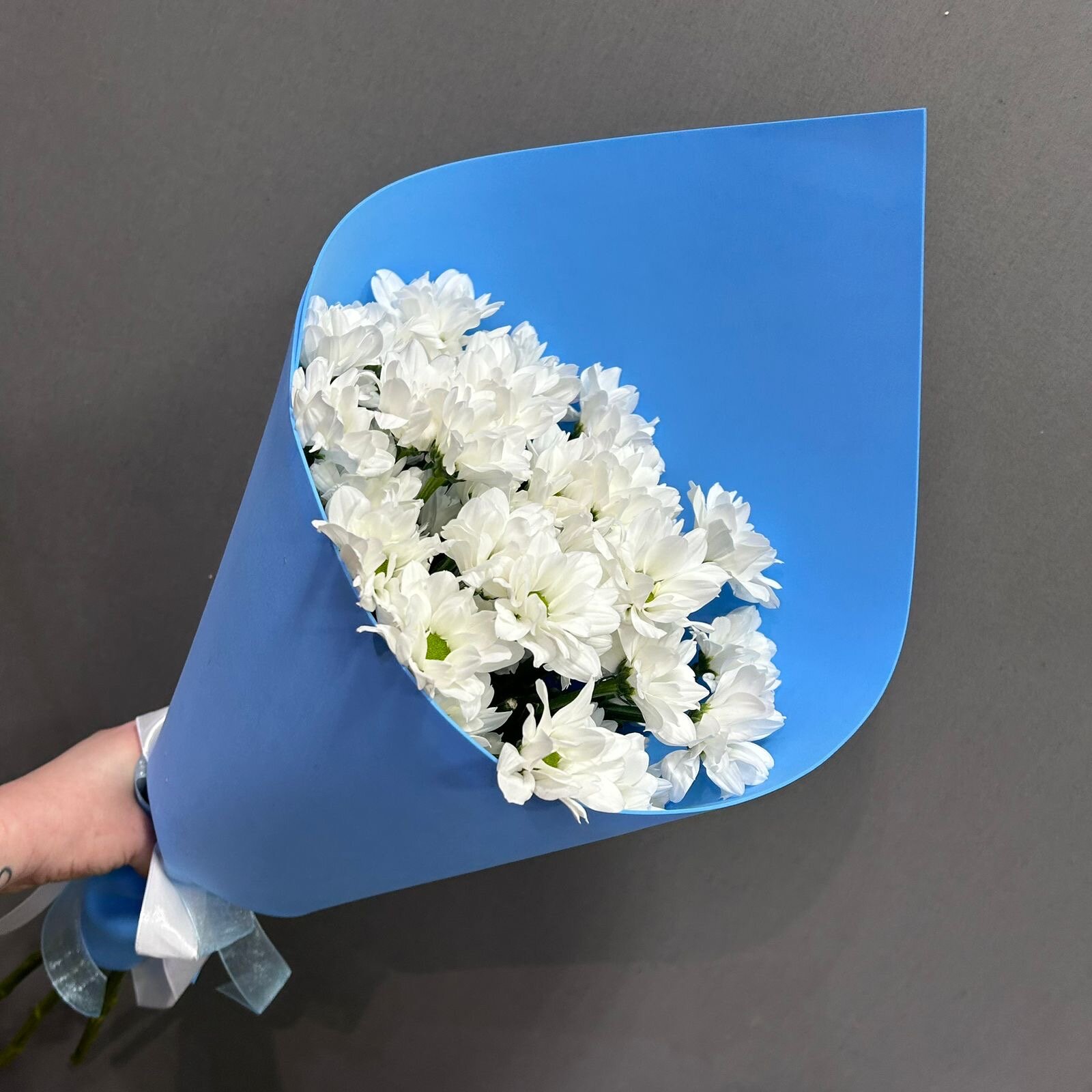 5 белых кустовых хризантем в синем фоамиране