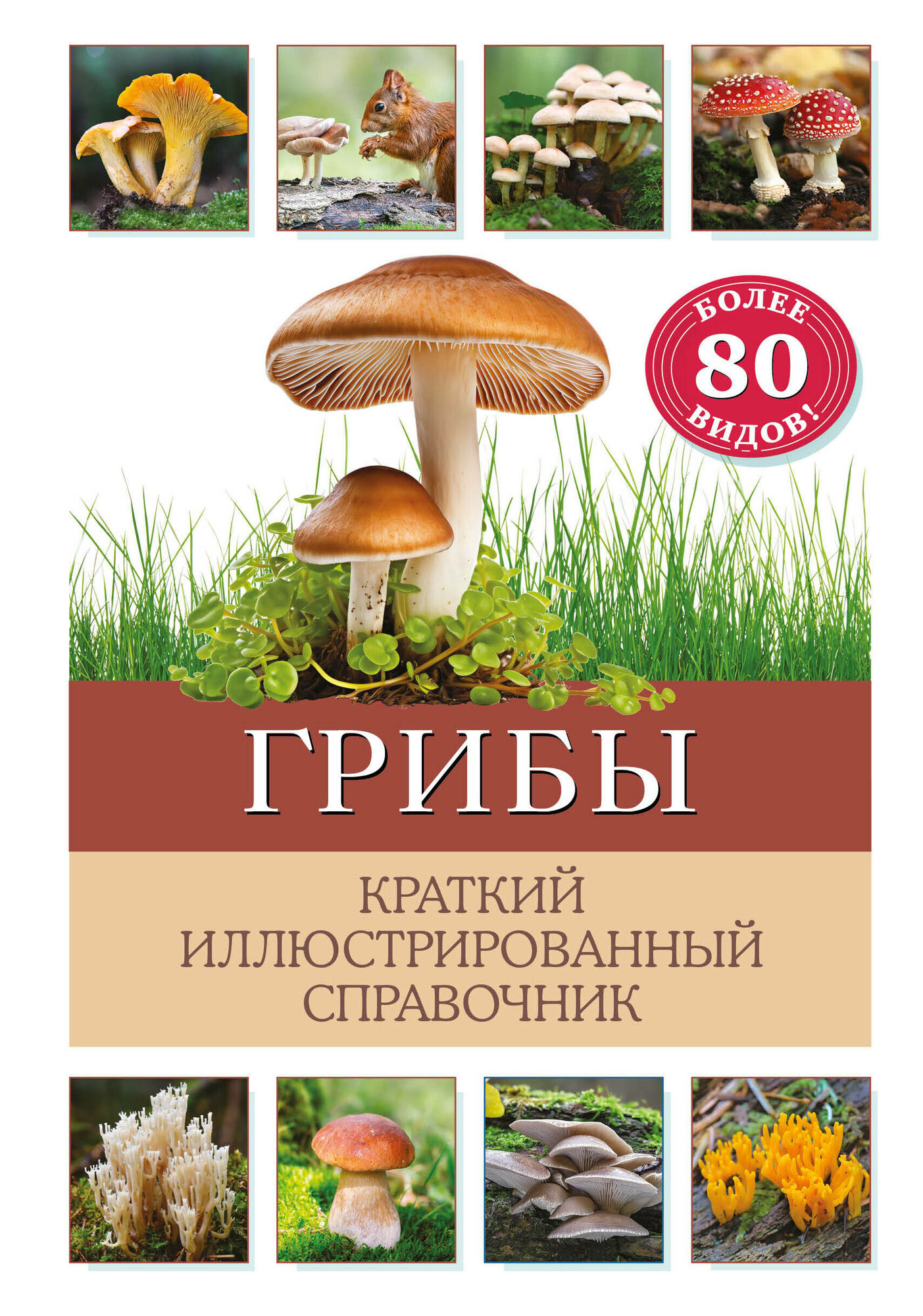 Грибы Краткий иллюстрированный справочник