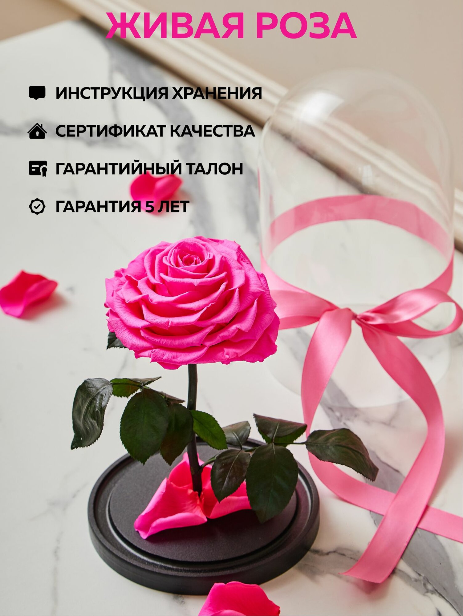 Роза в колбе живая, вечная, стабилизированная "L" 27см, подарок на 8 марта , на день рождения, на свадьбу красный