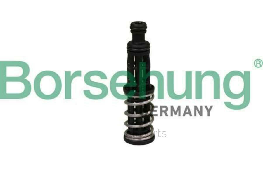 BORSEHUNG B12309 Клапан