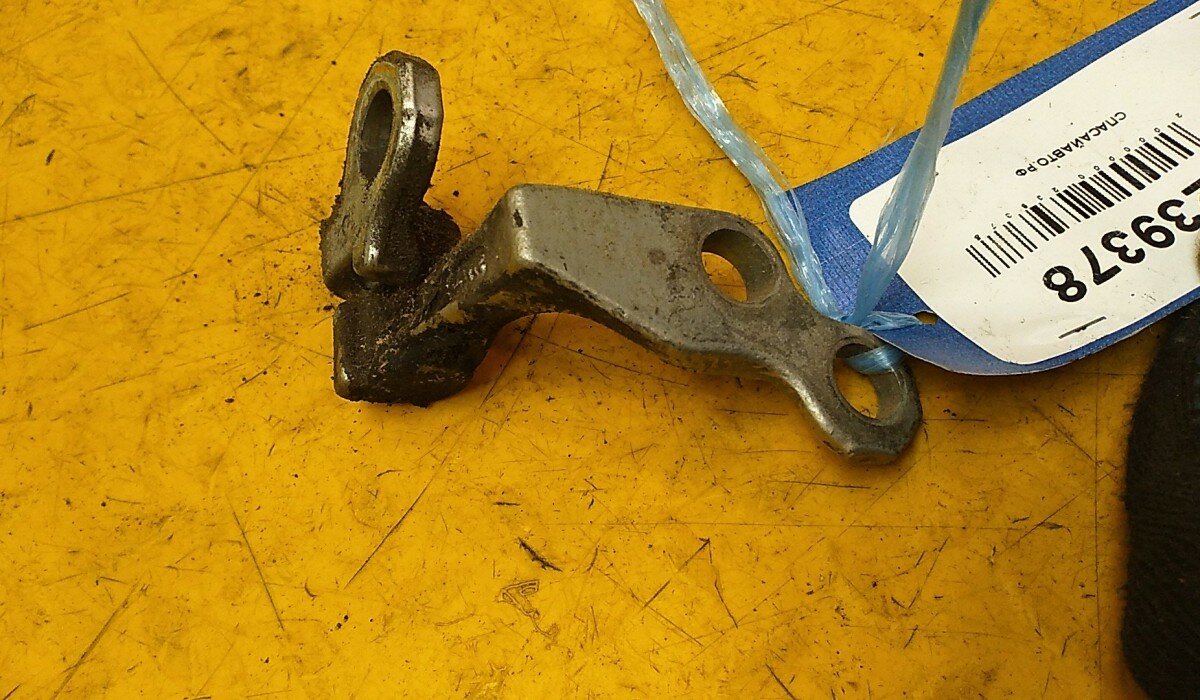 Петля двери задней левой нижняя Focus II Ford