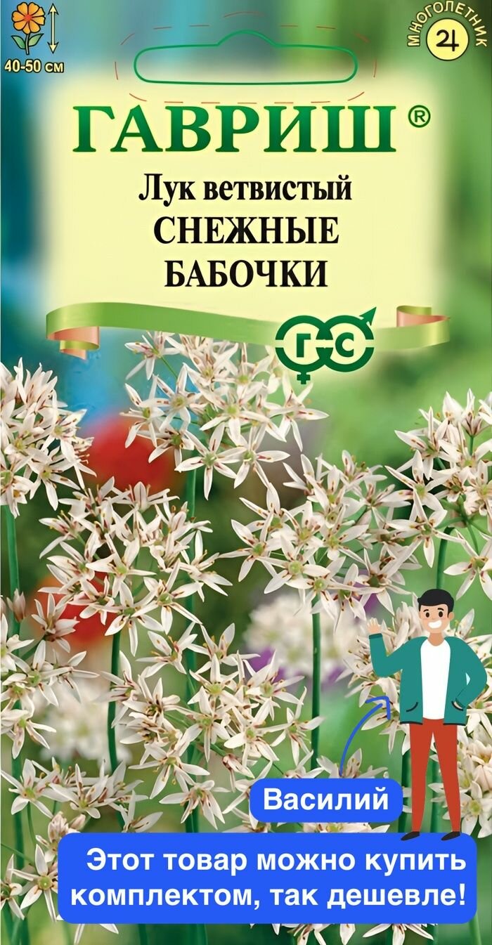 Цветы Лук ветвистый Снежные бабочки
