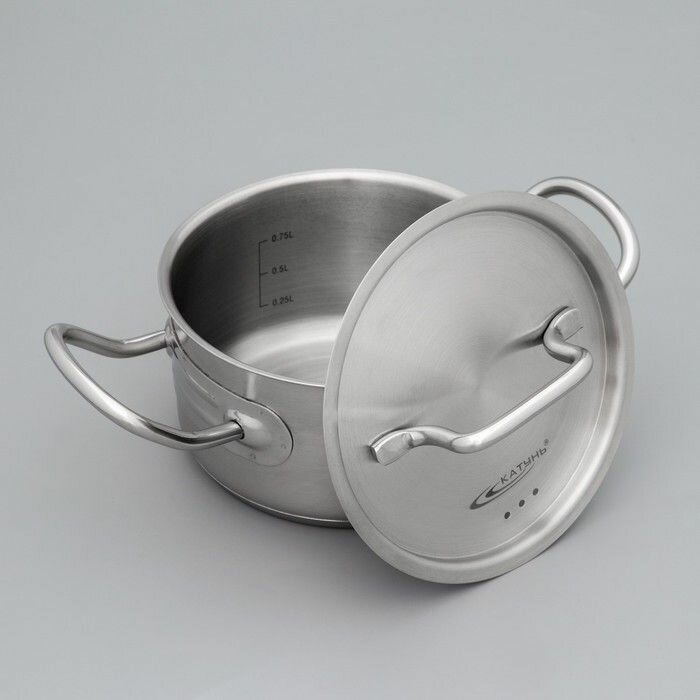 Кастрюля Катунь "Общепит", 1 л, d 14 см, металлическая крышка, цвет хромированный
