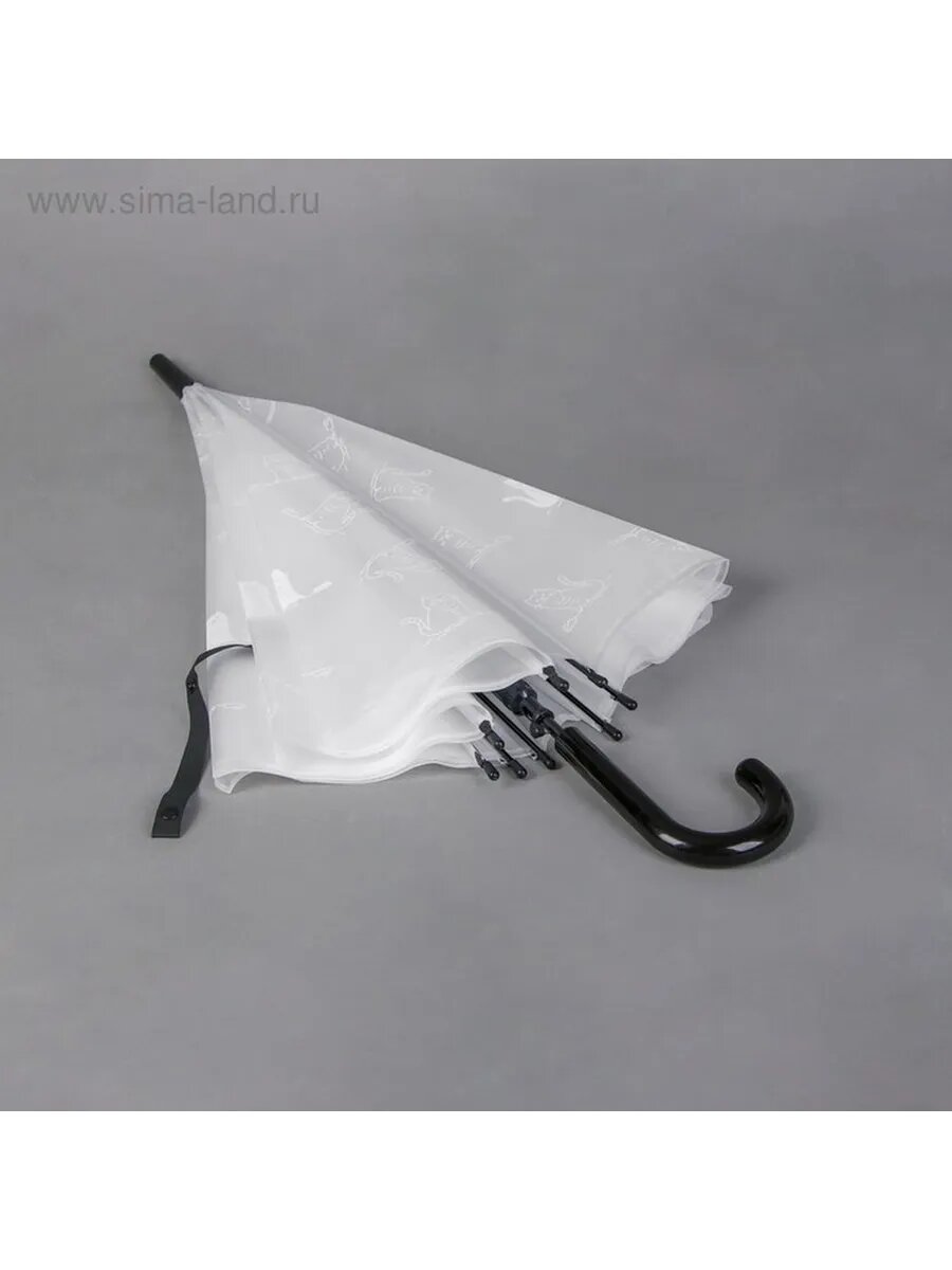 Зонт