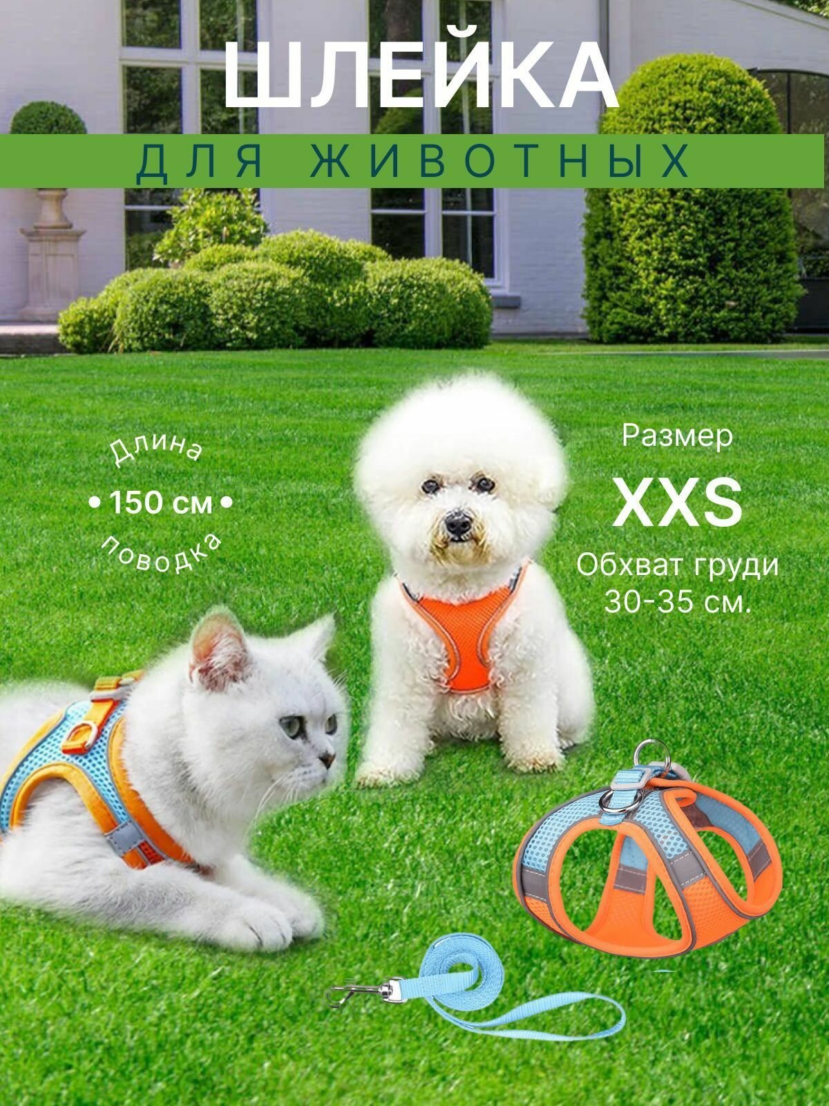 Шлейка для котят, кошек и собак мелких пород, обхват груди 23-32, дышащая со светоотражающими элементами, с поводком, оранжевый-голубой, размер XXS