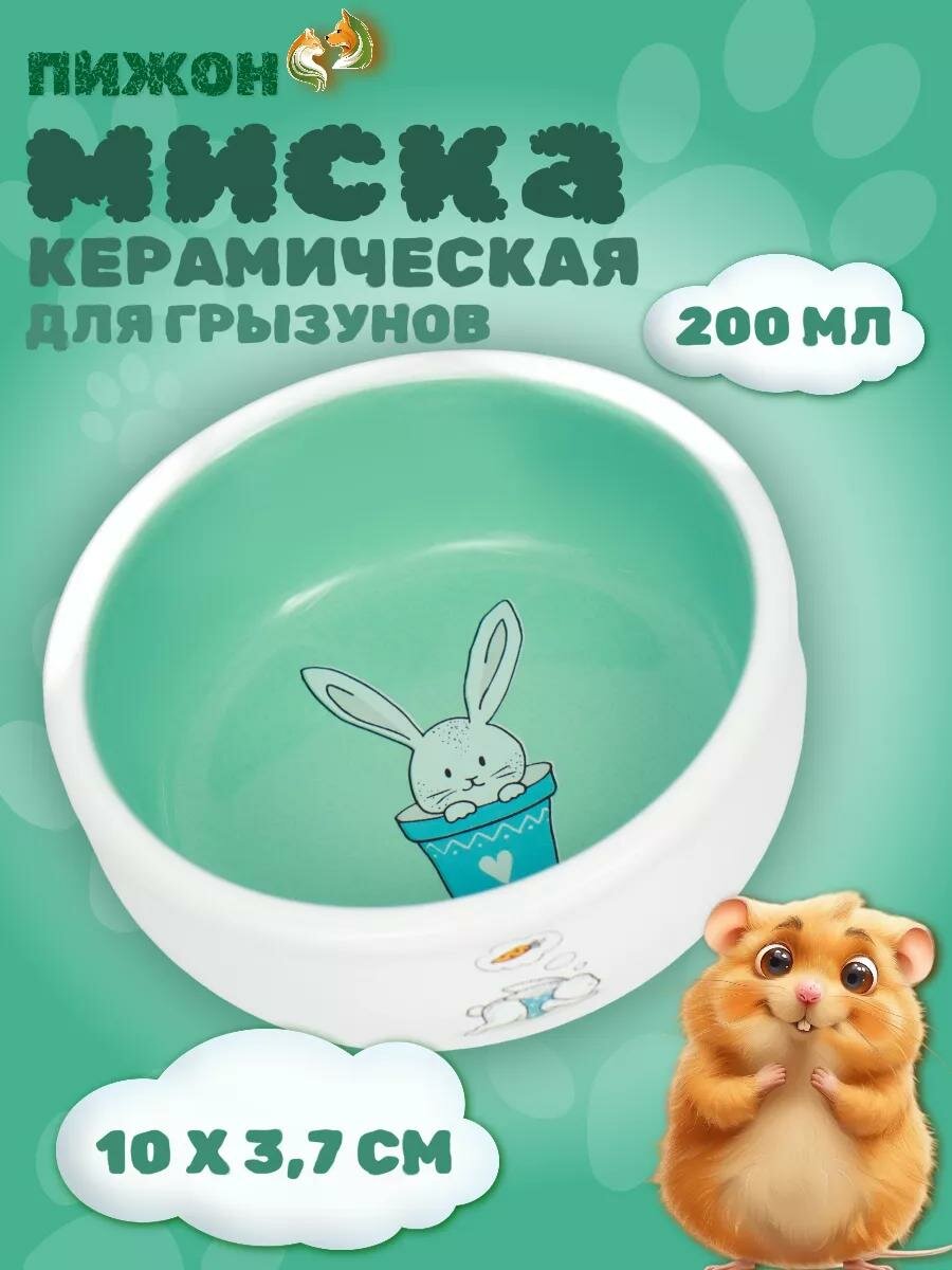 Миска керамическая для животных 200 мл 10 х 4 см, мятная/белая