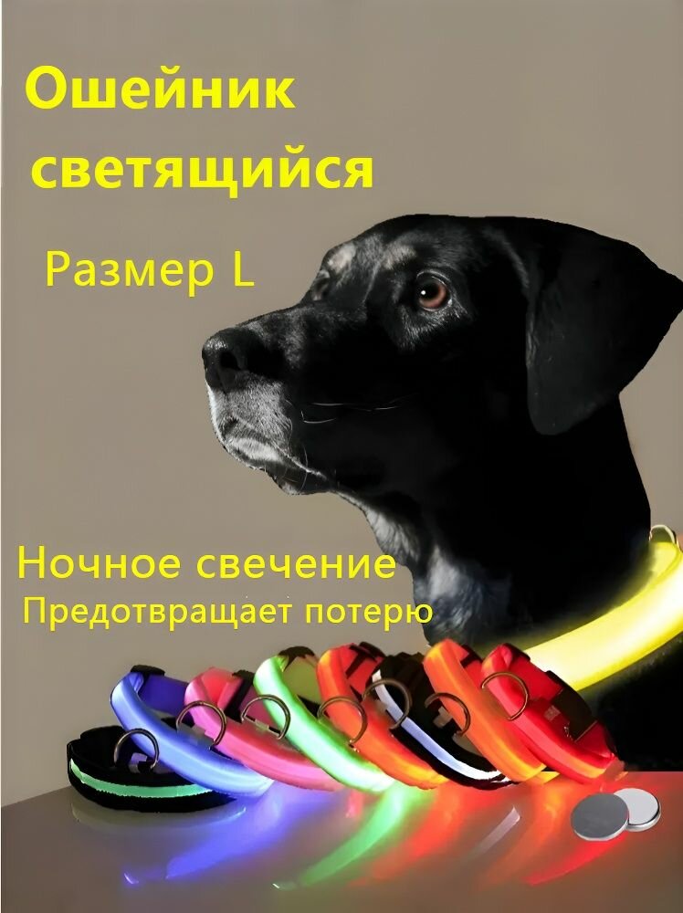 Светодиодные светящиеся ошейники для собак, кошек, большие и малые собаки, размер L