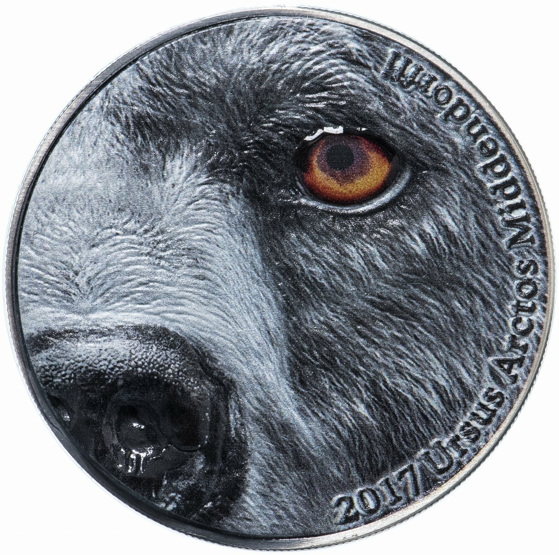 Конго 2000 франков 2017 "Глаза природы - медведь кодьяк", в футляре с сертификатом, Серебро 999, в сохранности UNC