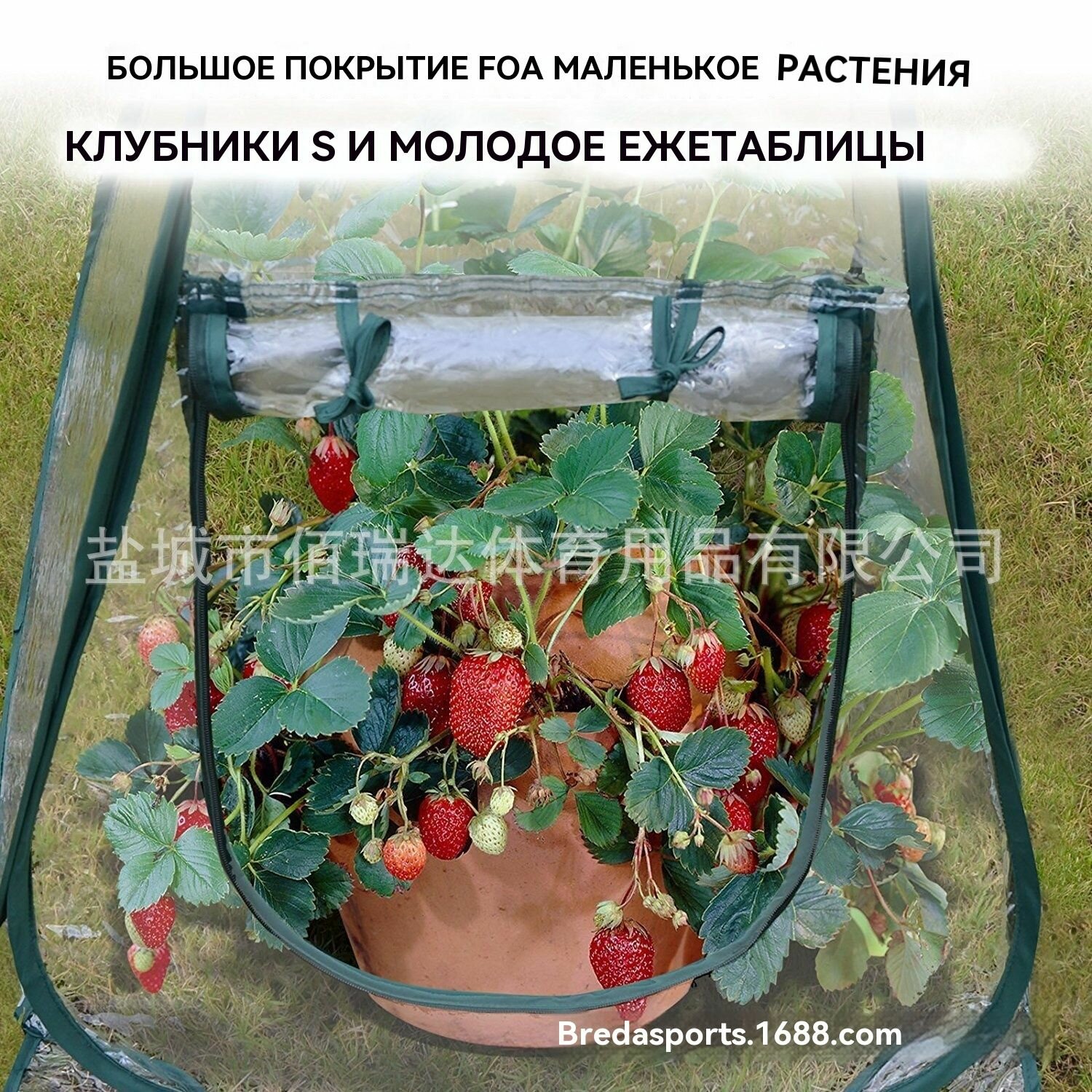 Мини теплица 75х75х90 см — фото 1