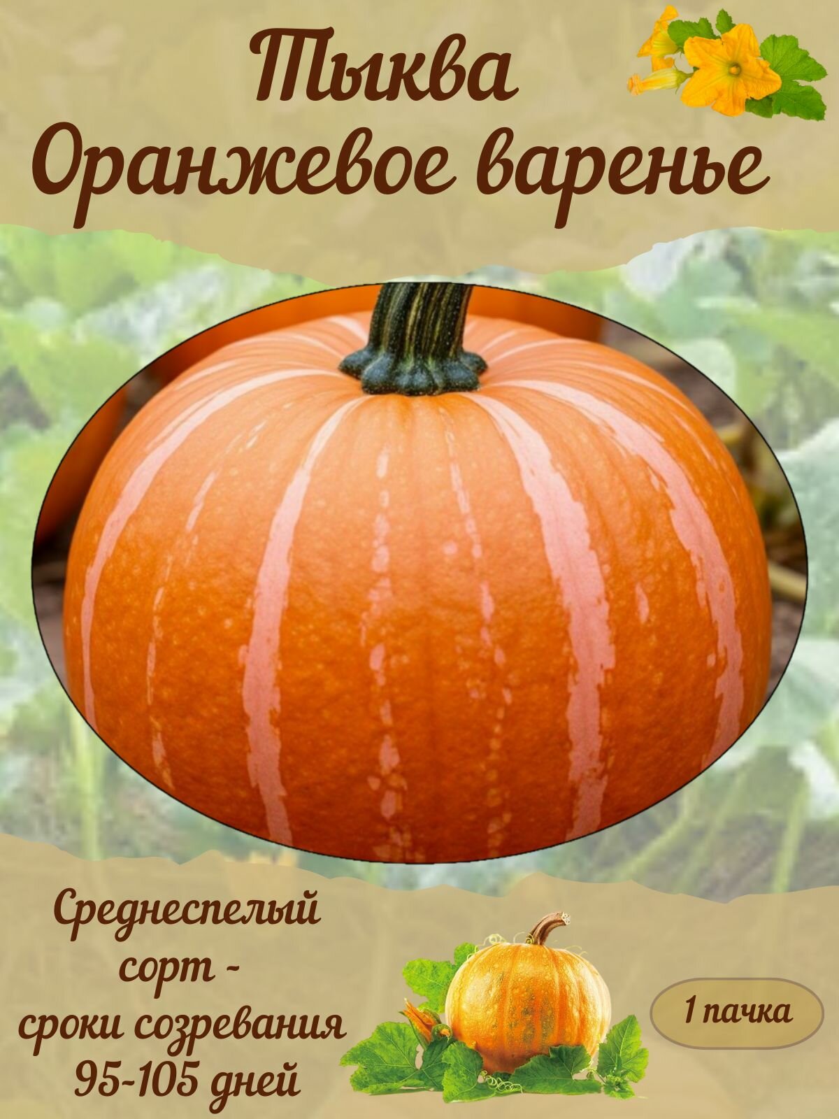 Тыква Оранжевое варенье, семена, 10 шт.